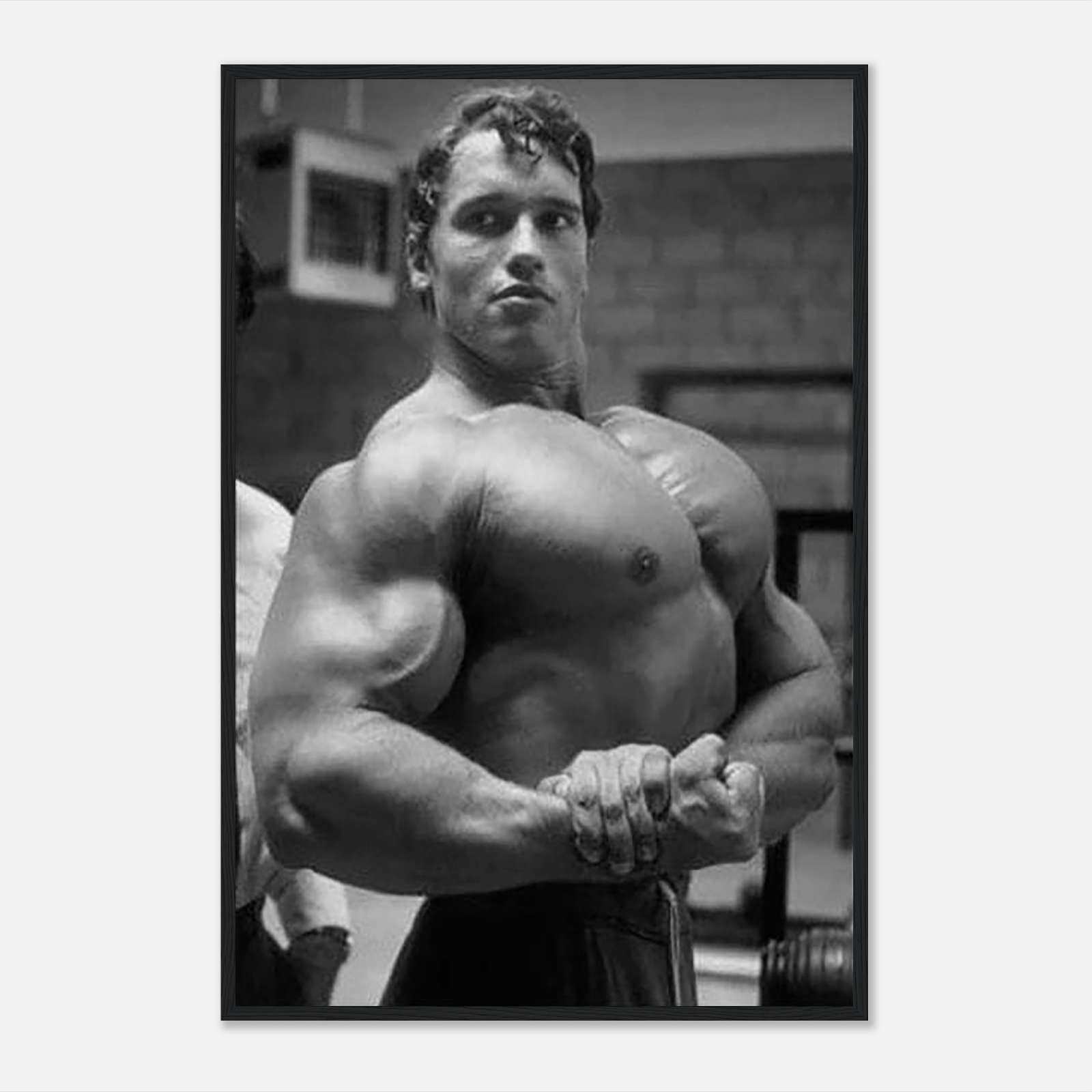 Arnold Schwarzenegger Poster, Arnold Schwarzenegger Wall Art 2, Full ...