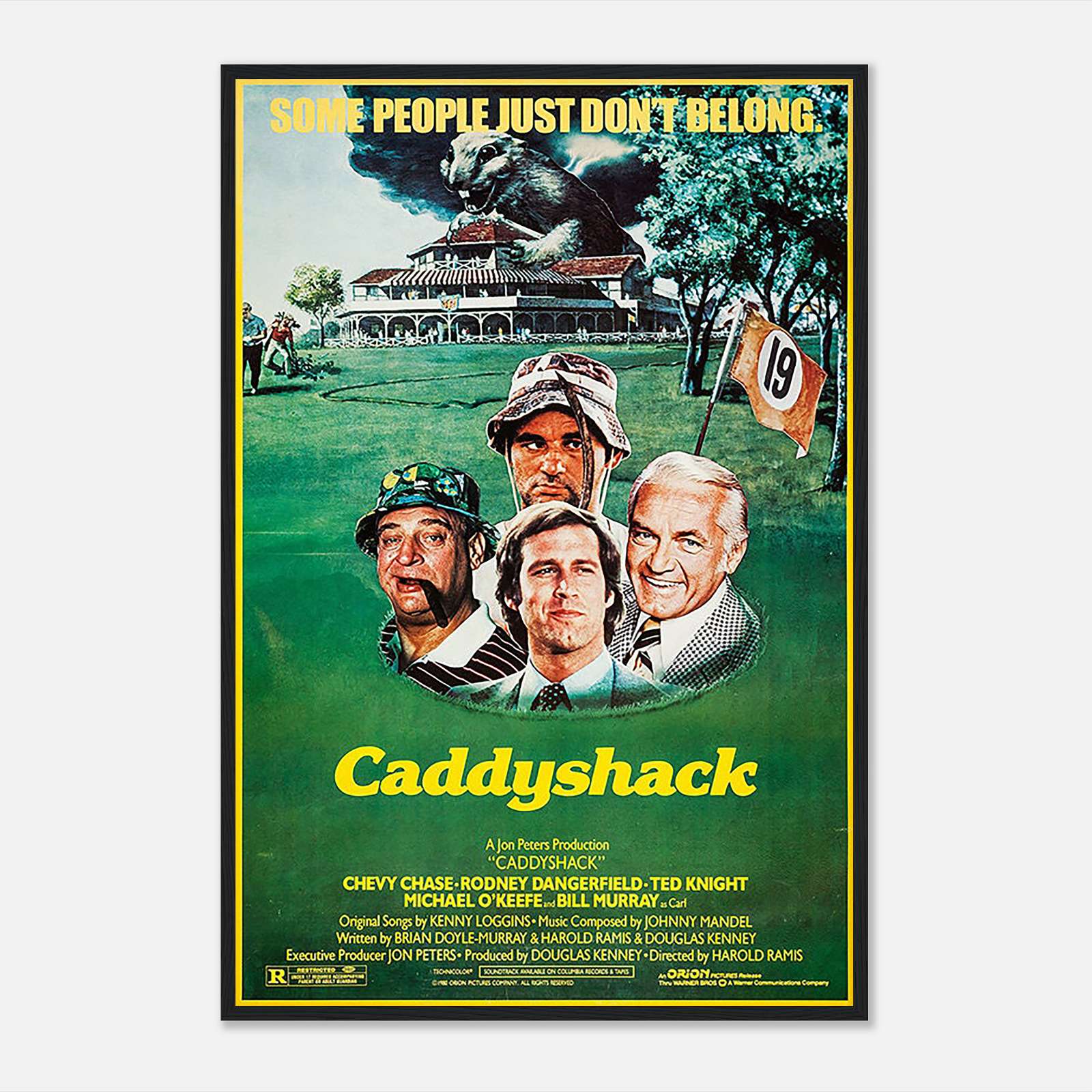 Caddyshack Movie Poster, Classic Movie Poster, Full-Size Poster, Ready ...