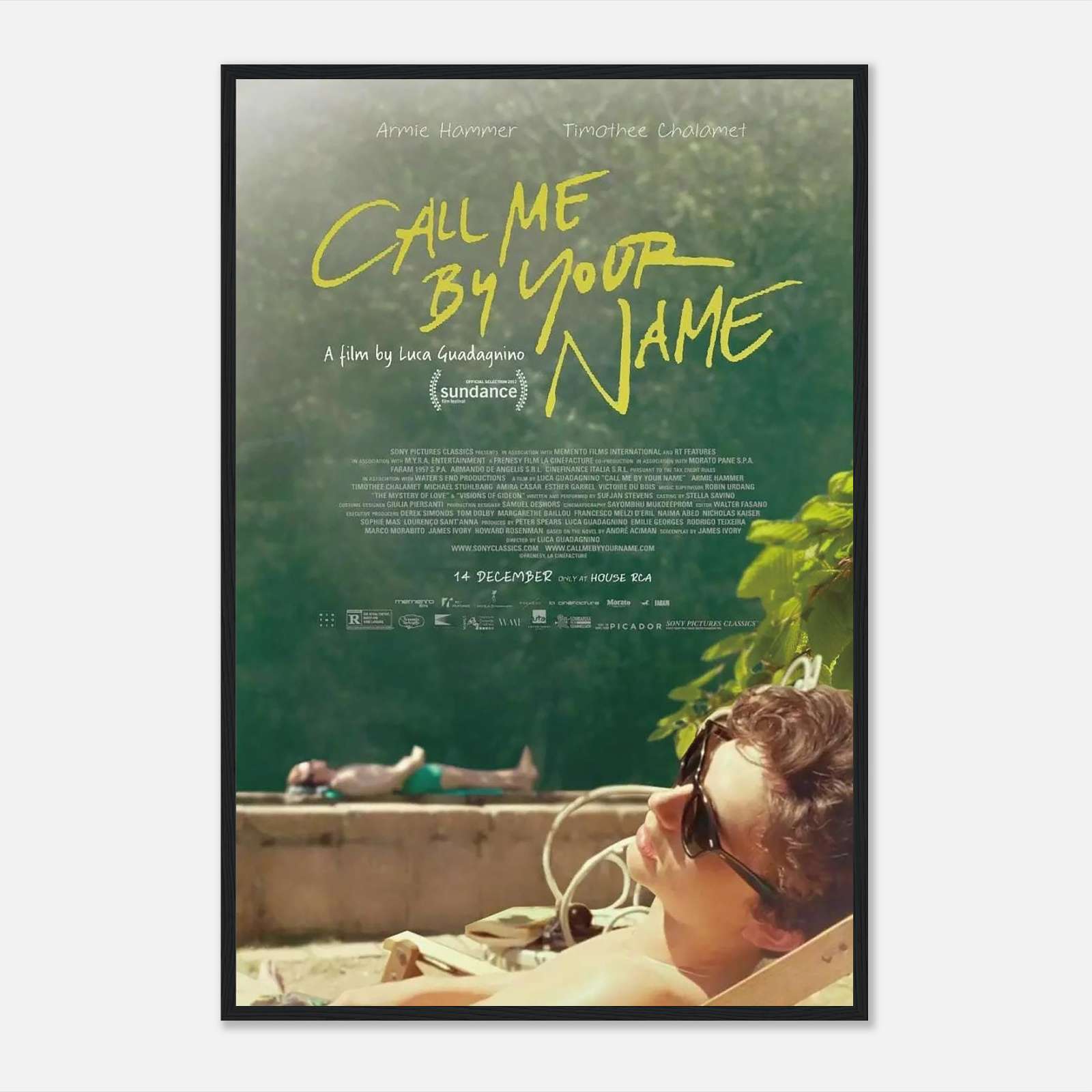 Call Me By Your Name Movie Poster, Full-Size Movie Poster, Ready to Hang - Citiesbox