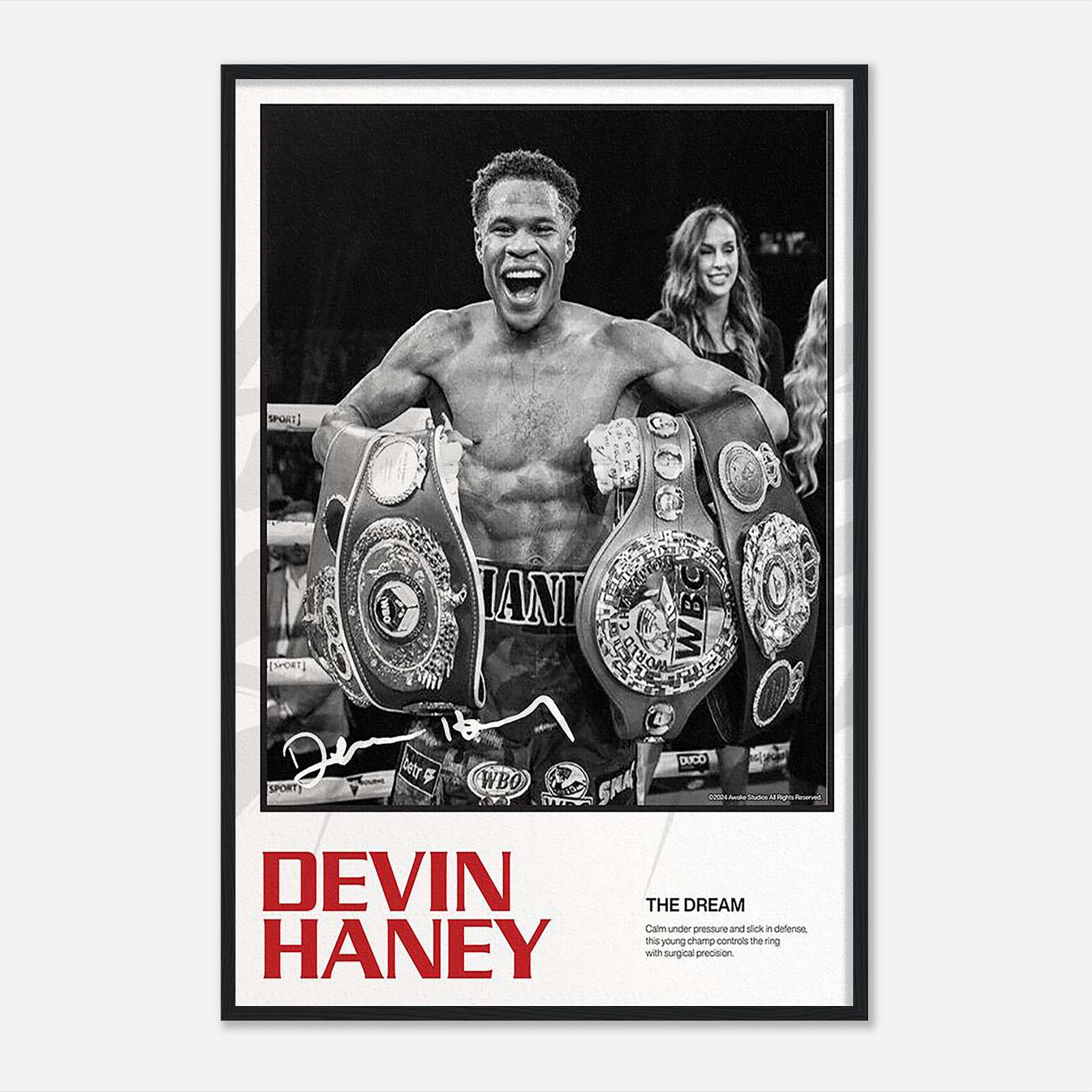Devin Haney Poster, Mma Poster, Boxing Poster, Full-Size Poster, Ready ...