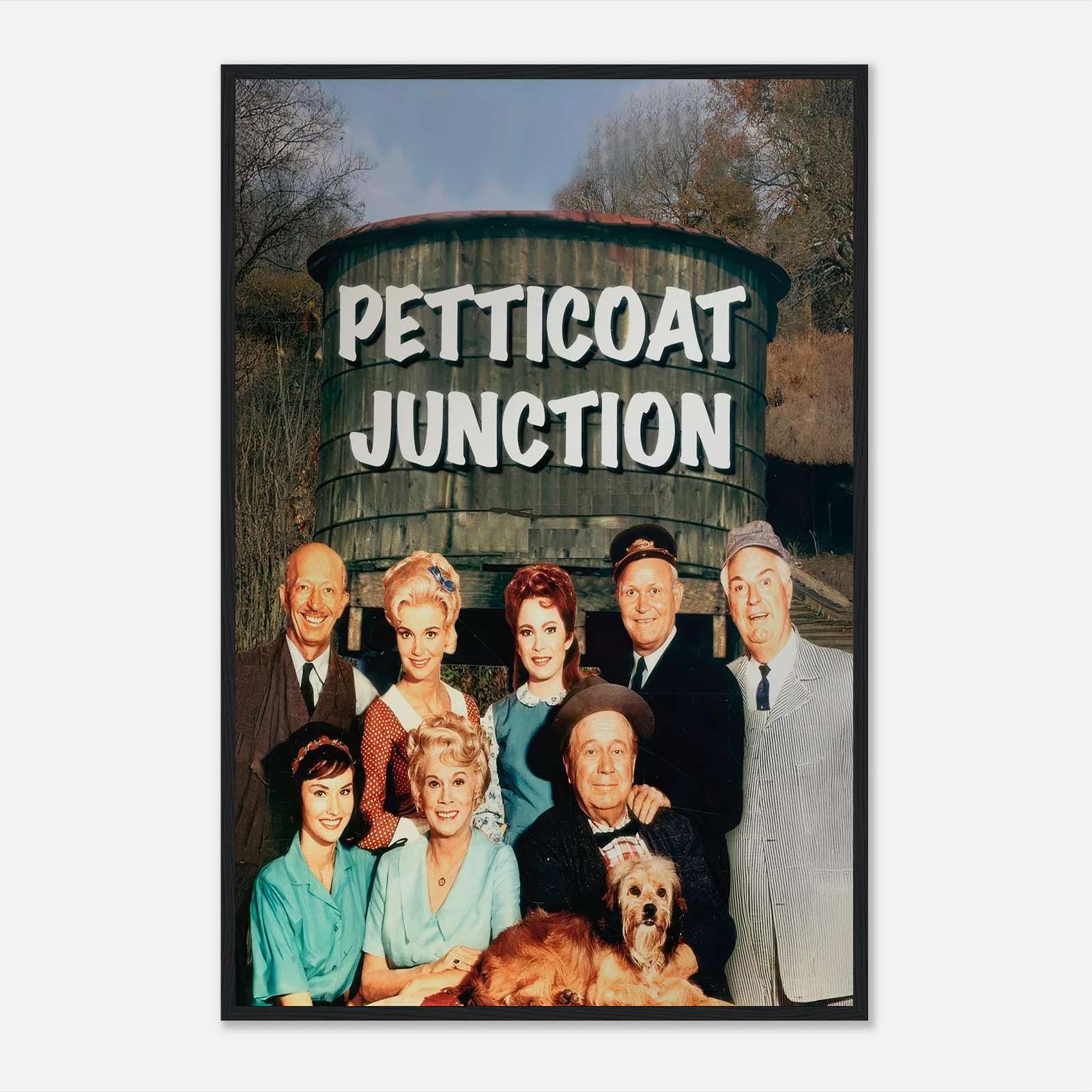 Petticoat Junction Tv Series Poster, Vintage Movie Poster, Film Poster ...