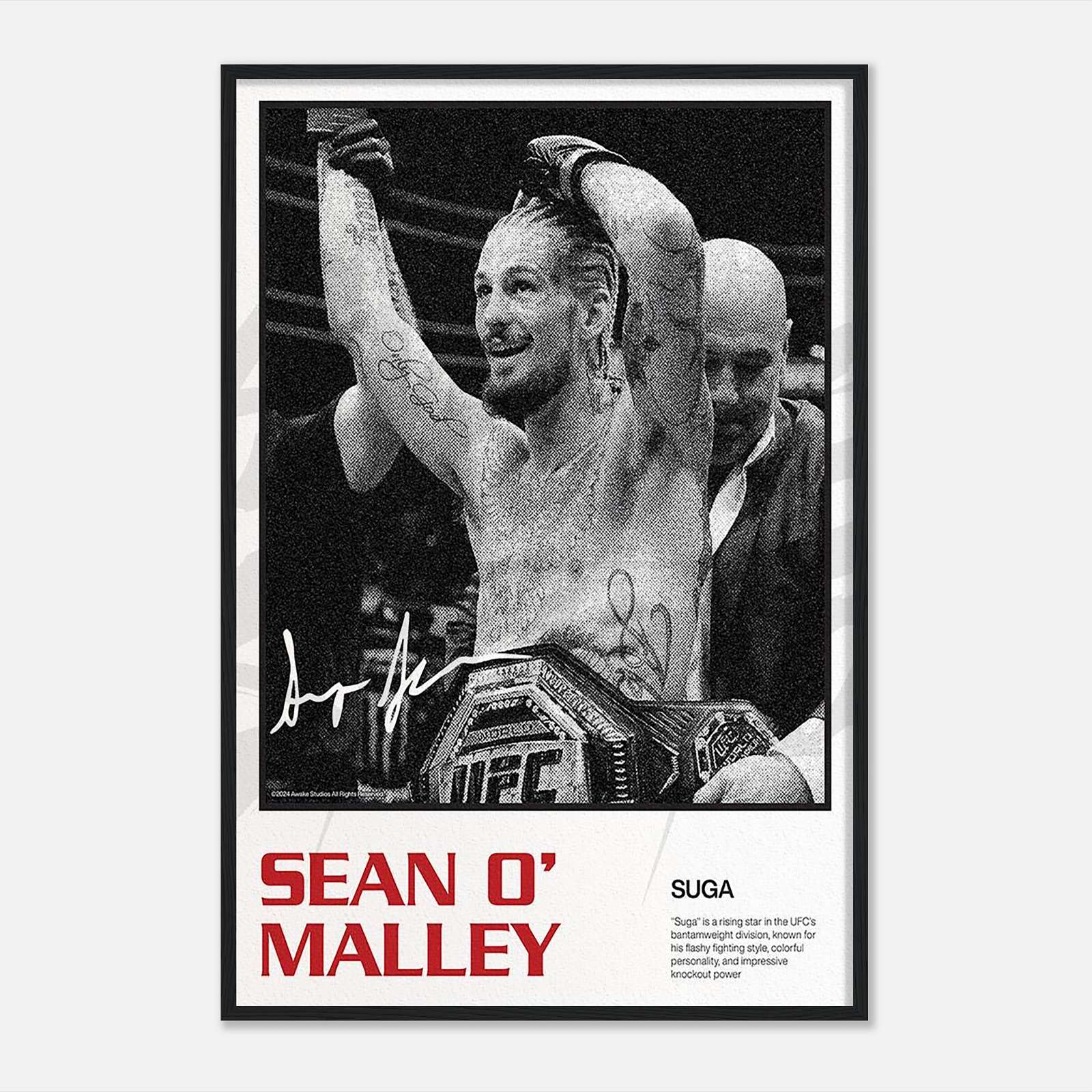 Sean O'Malley Poster, Mma Poster, Sports Poster, Home Gym Decoration ...