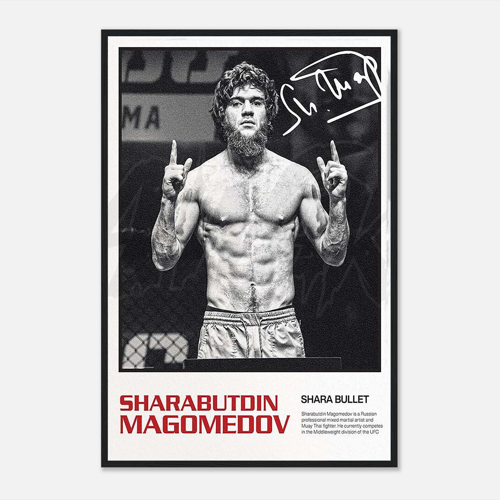 Sharaputdin Magomedov Poster, Boxing Poster, Mma Poster, Full-Size ...