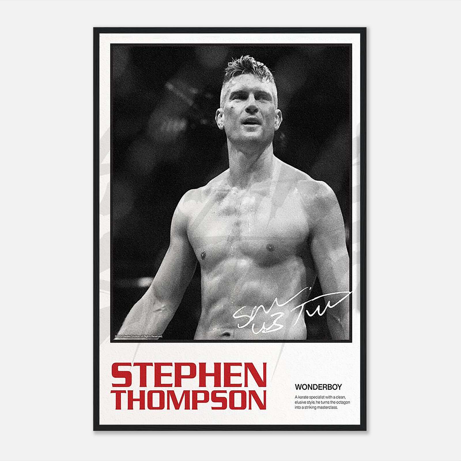 Stephen Thompson Poster, Sports Poster, Mma Poster, Full-Size Poster ...