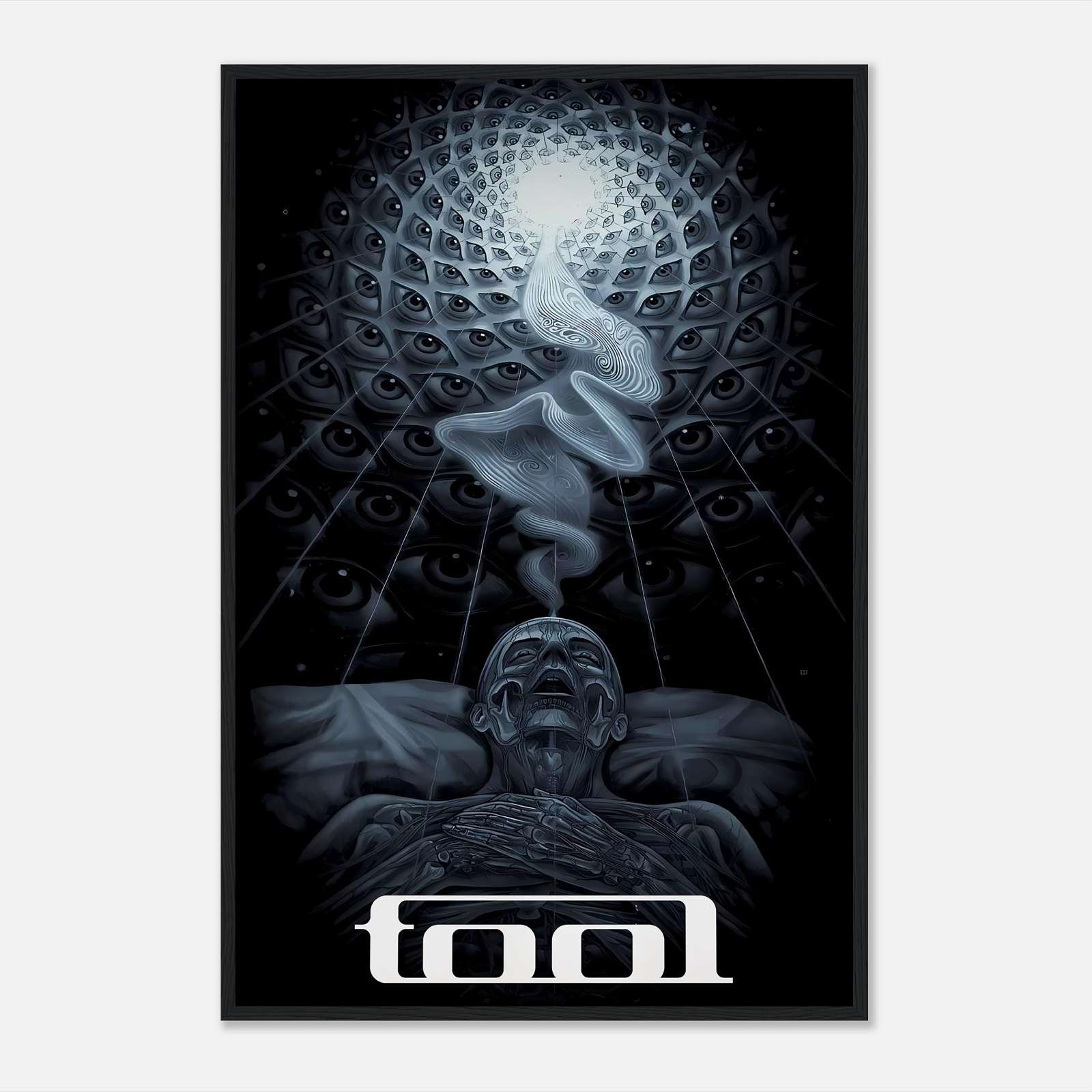 Tool Aenima Poster, Tool Lateralus Poster, Tool Album Poster, Full-Size Poster, Ready to Hang ...