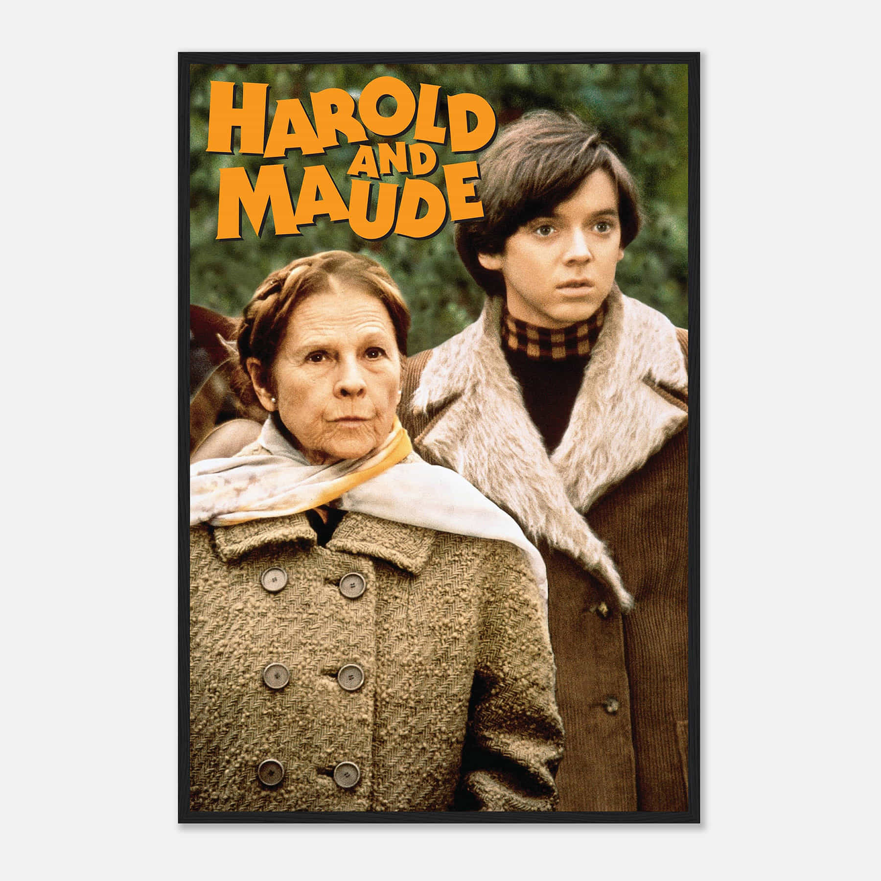 Harold and Maude (1971) Movie Poster, Harold and Maude Classic Vintage Poster, Classic Movie ...