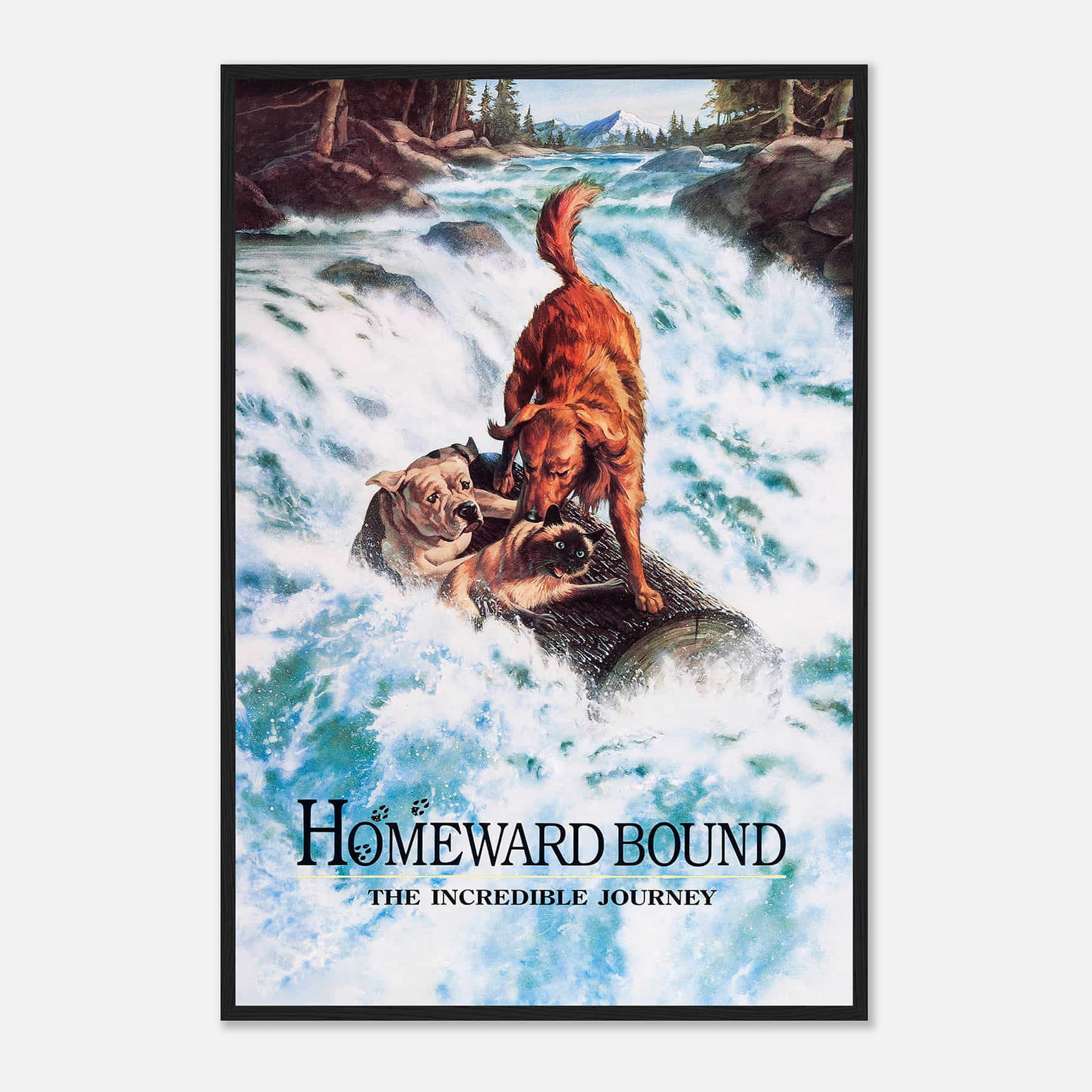 Homeward Bound The Incredible Journey Movie Poster, Homeward Bound The ...