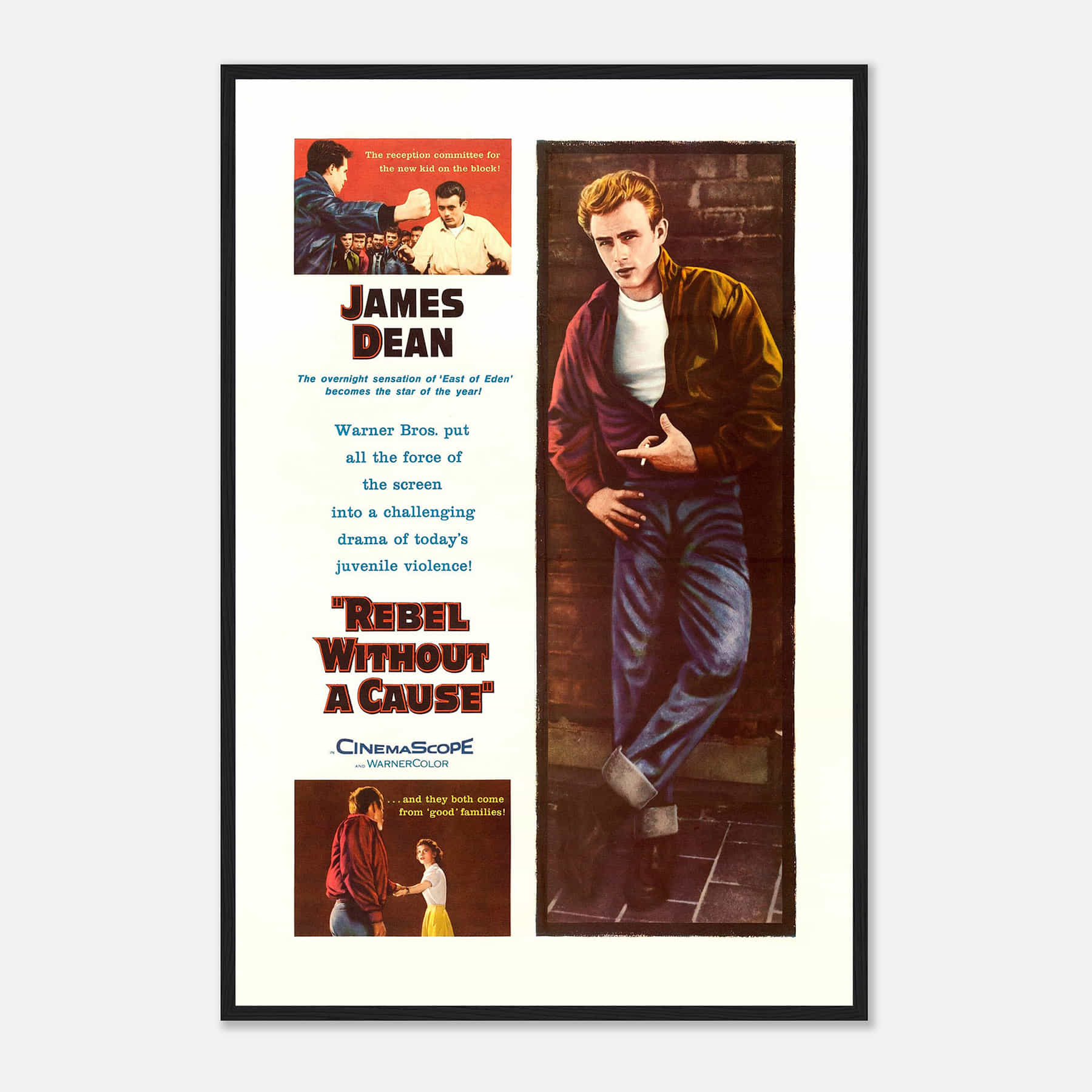 Rebel Without a Cause Movie Poster, Rebel Without a Cause (1955 ...