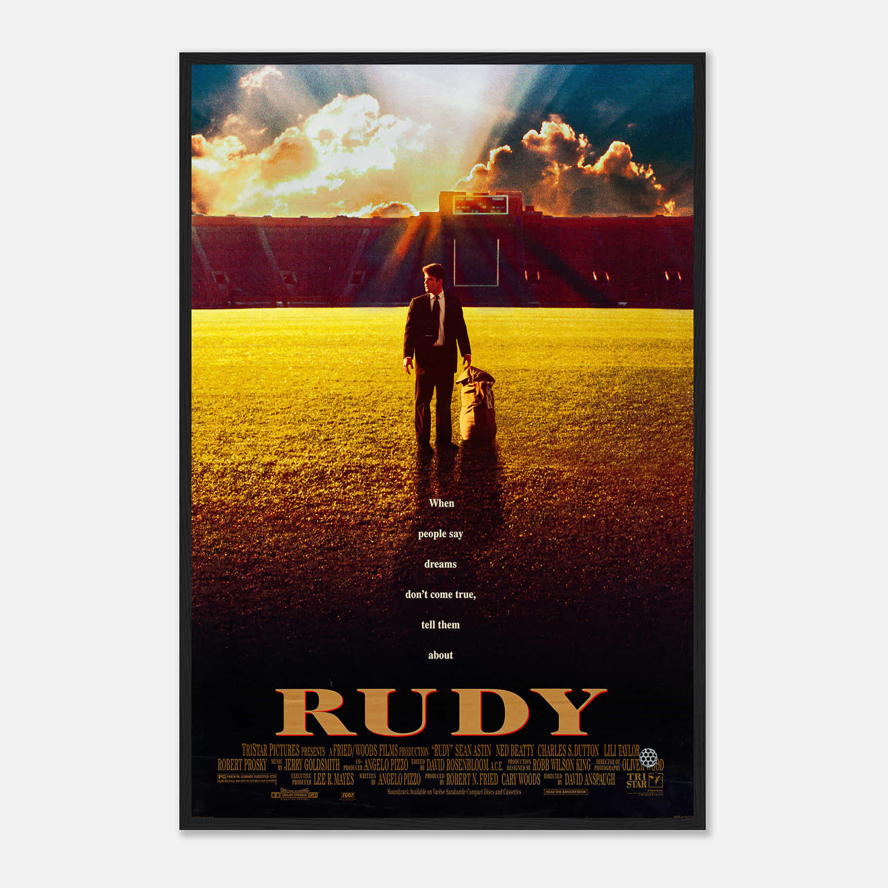Rudy (1993) Movie Poster, Rudy Classic Vintage Movie Poster, Classic ...