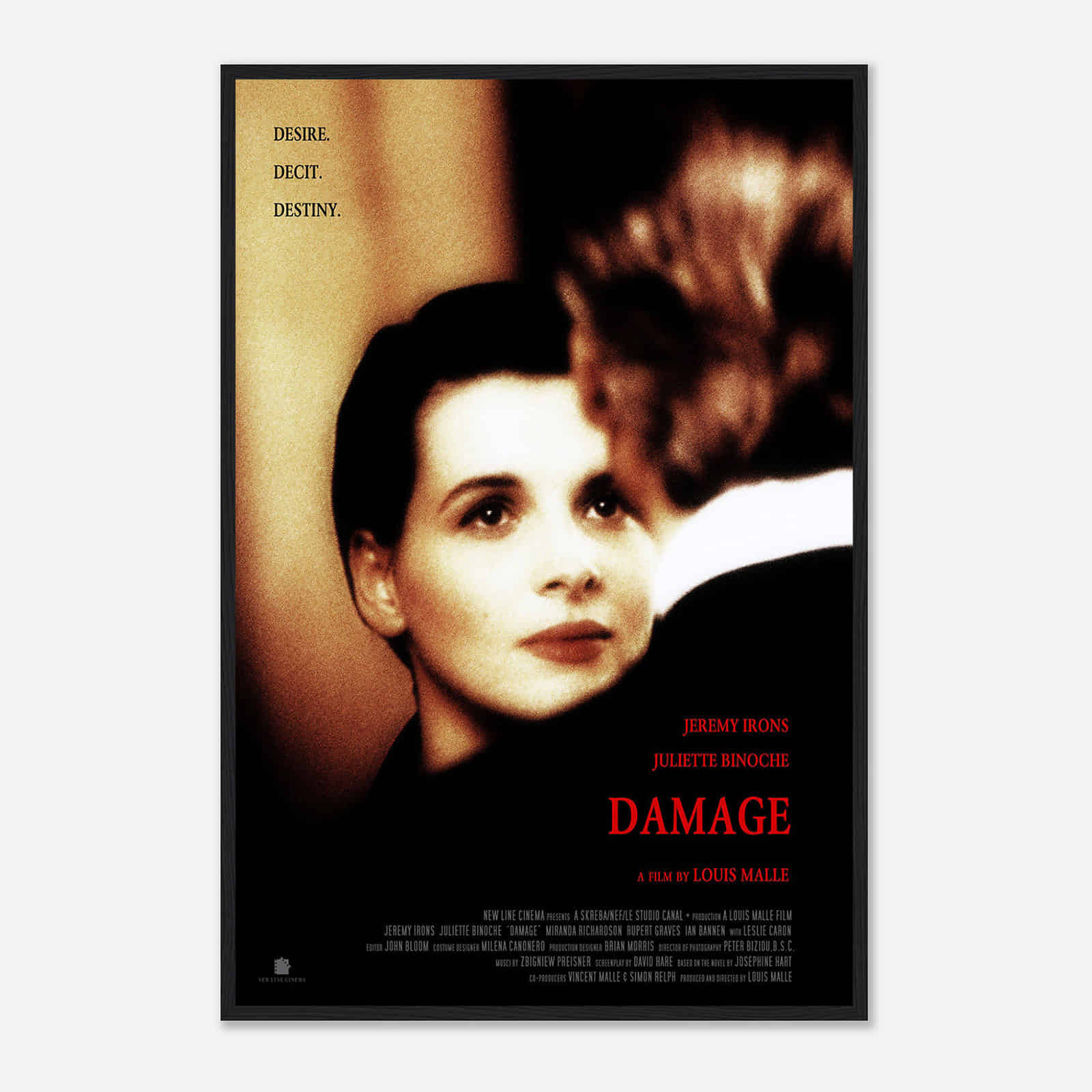 Damage Movie Poster, Damage (1992) Movie Poster for Gift - Citiesbox