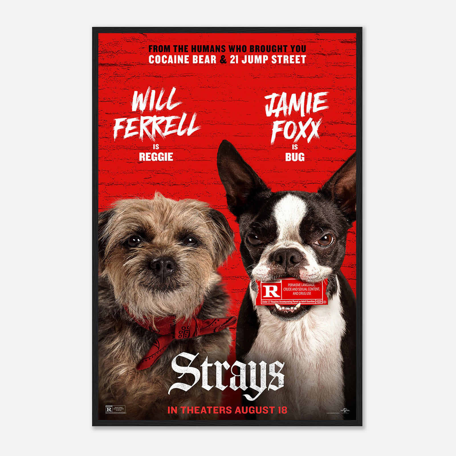 Strays (2023) Movie Poster, Strays Poster for Gift - Citiesbox