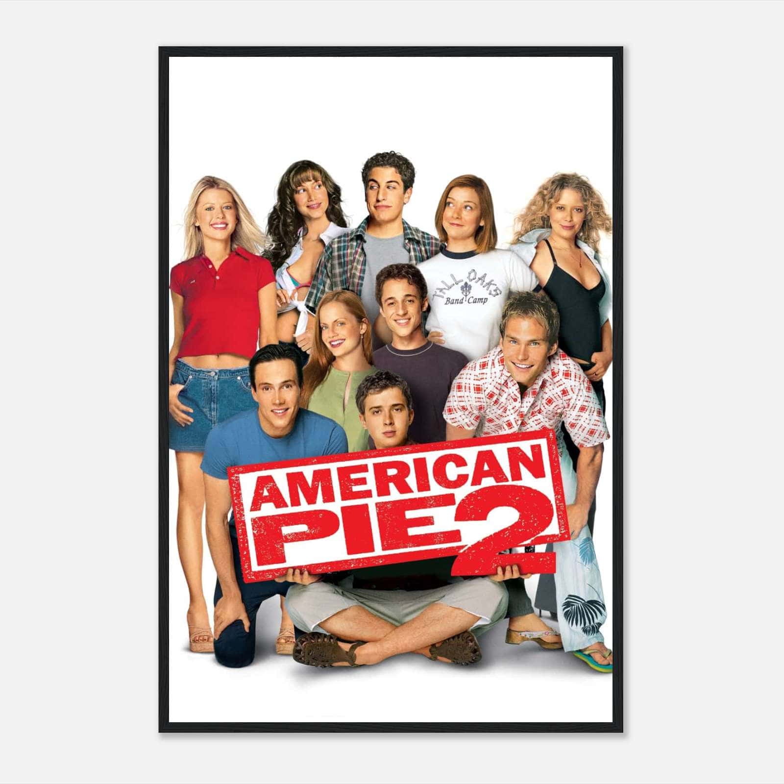 American Pie 2 (2001) Movie Poster Print - Citiesbox