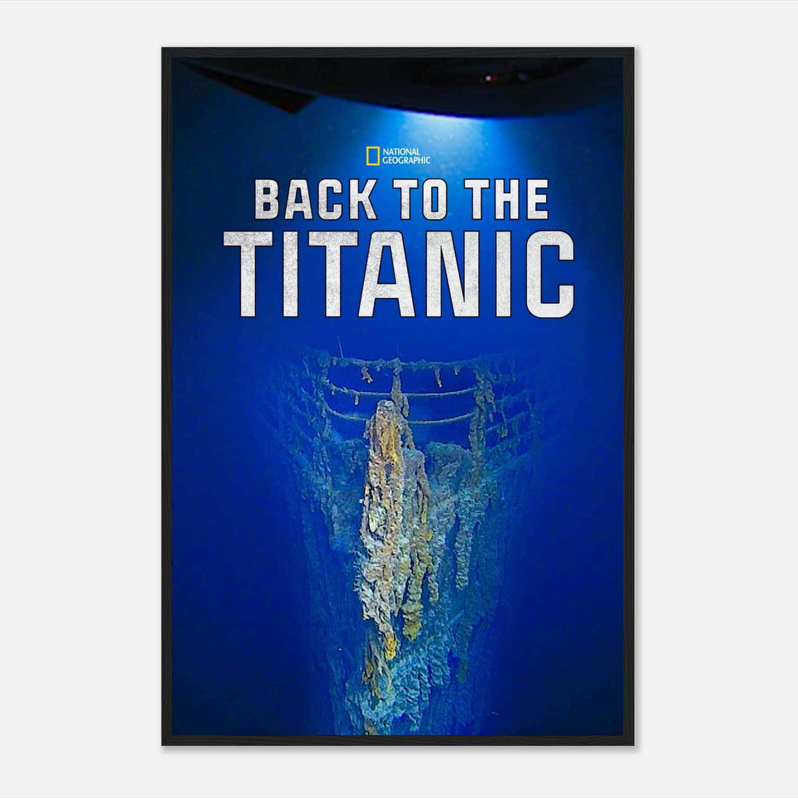 Back to the Titanic (2020) Movie Poster Print - Citiesbox