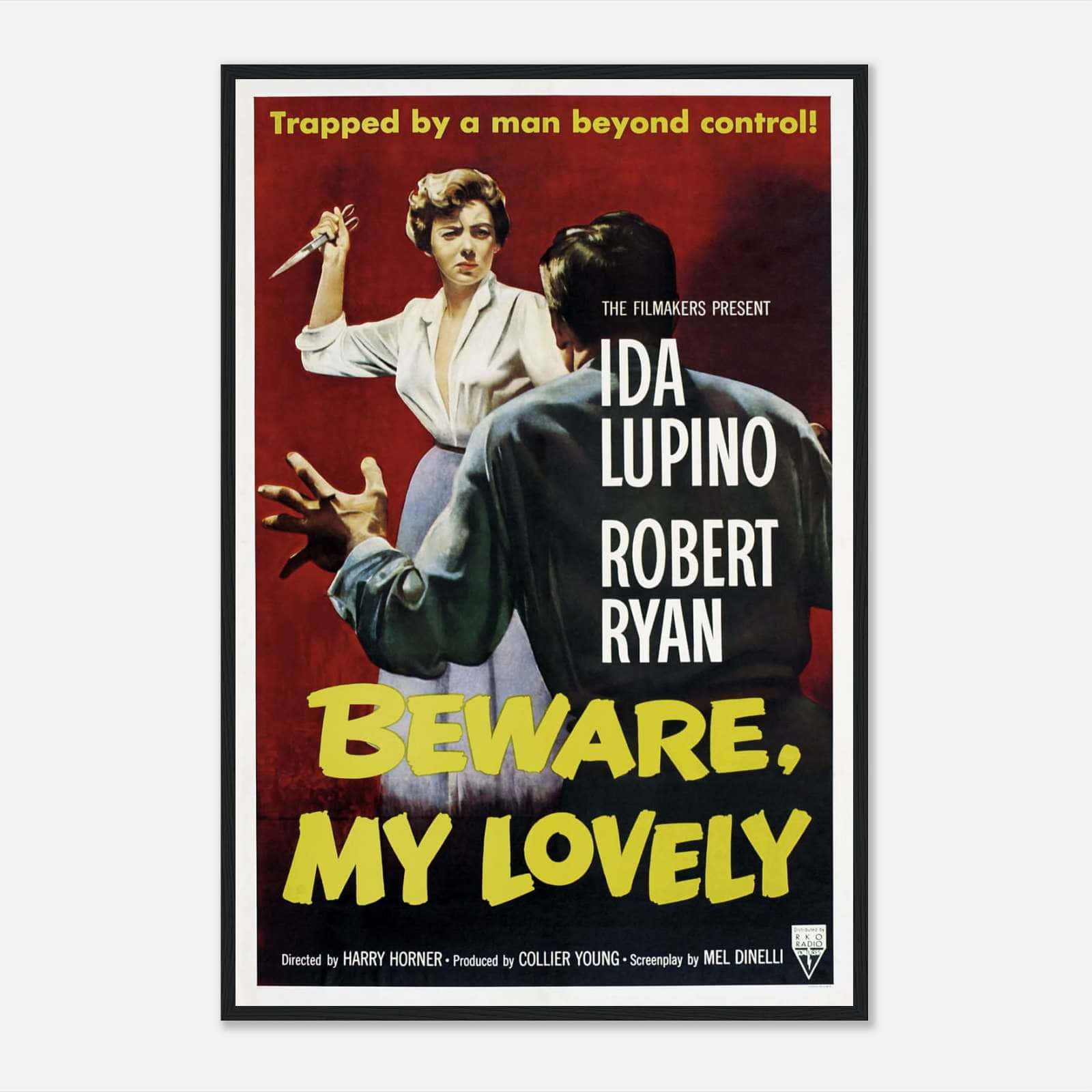 Beware, My Lovely (1952) Movie Poster Print - Citiesbox