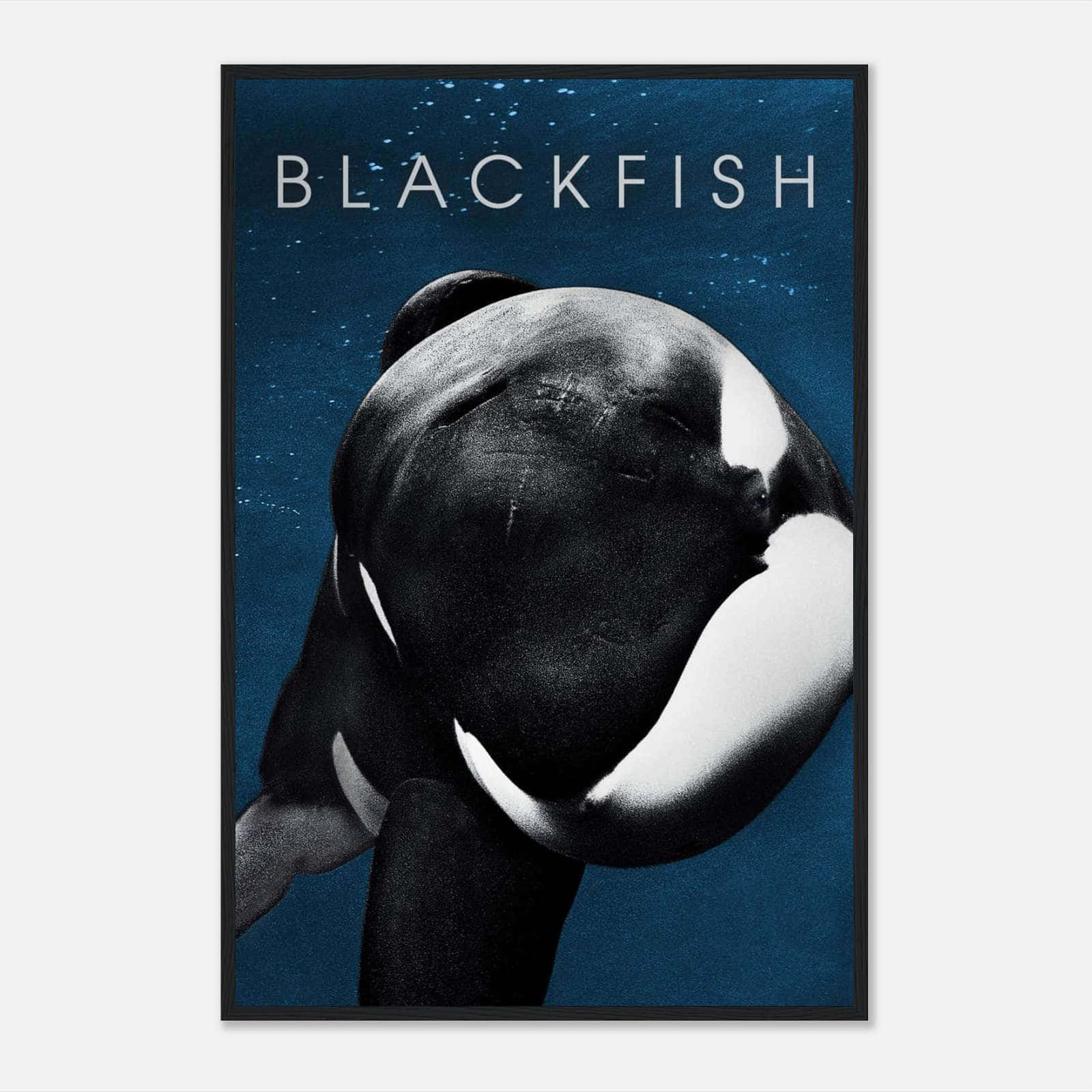 Blackfish (2013) Movie Poster Print - Citiesbox