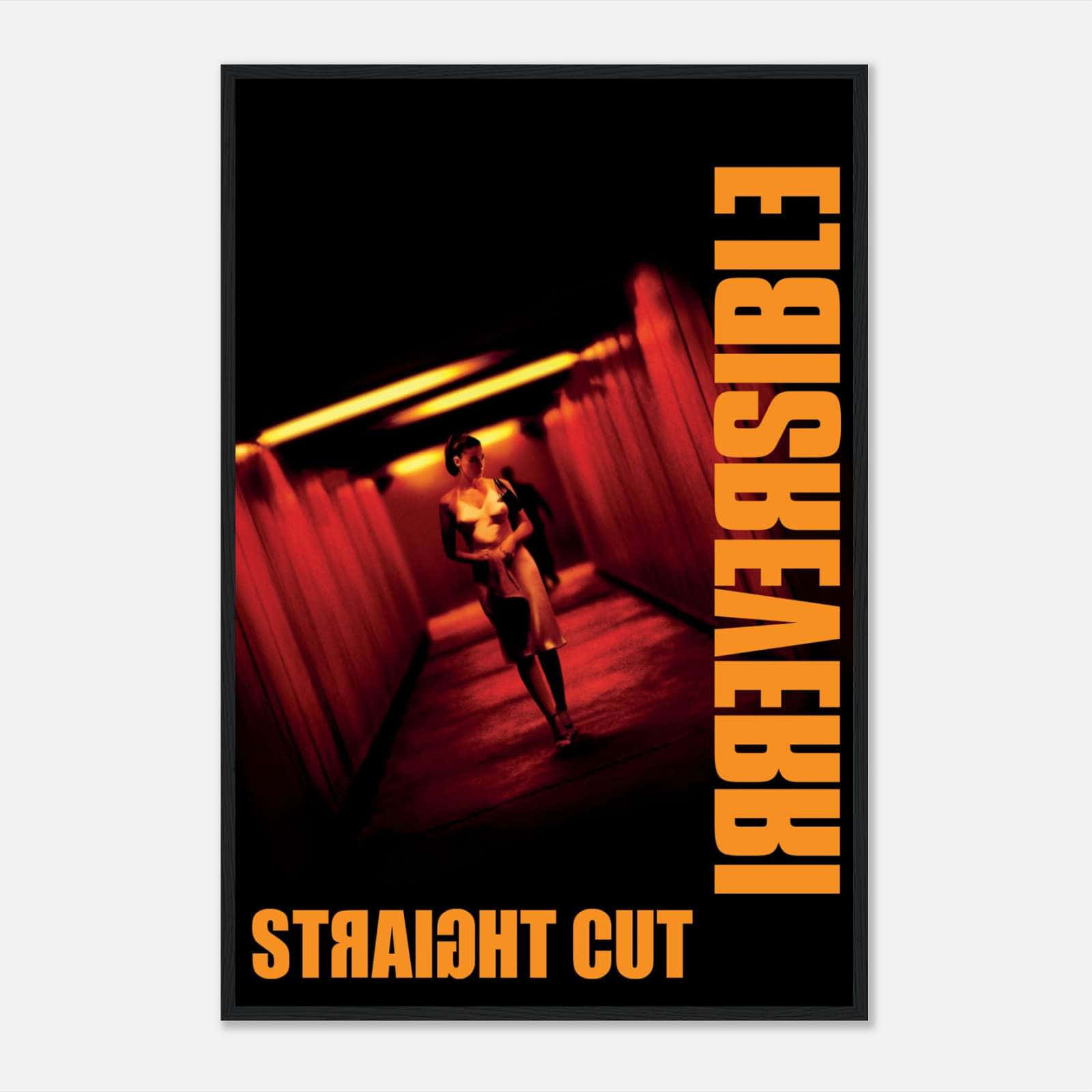 Irreversible (2002) Movie Poster Print - Citiesbox