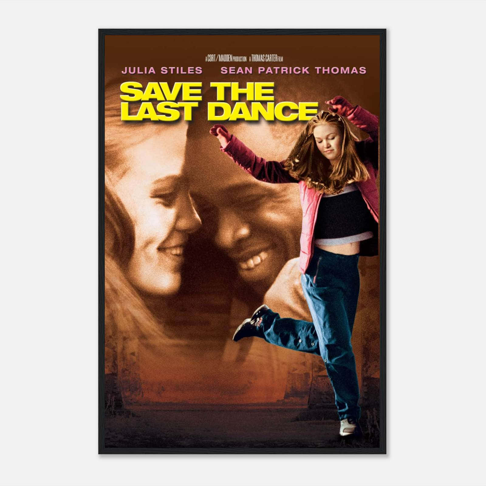 Save the Last Dance (2001) Movie Poster Print - Citiesbox