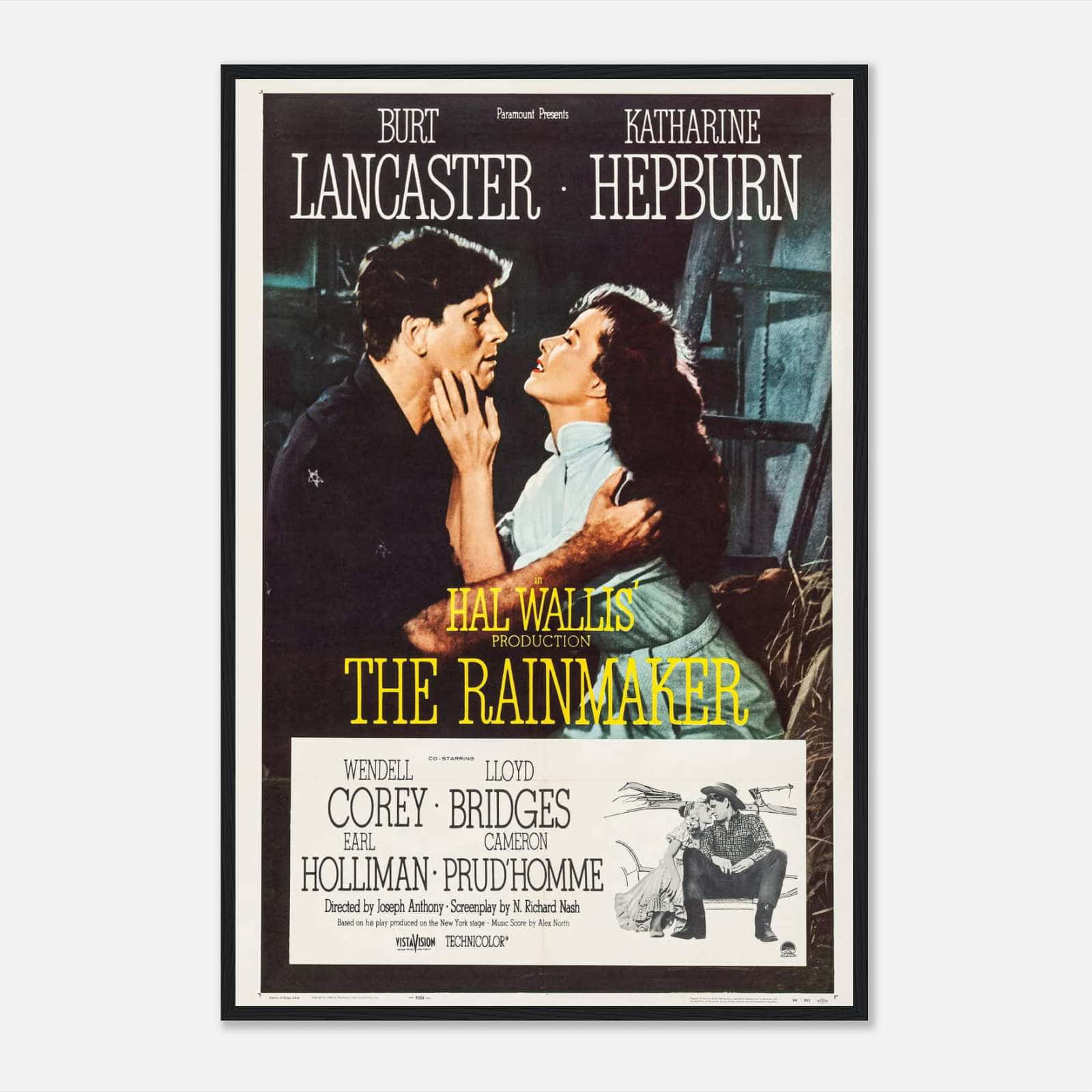 The Rainmaker (1956) Movie Poster Print - Citiesbox