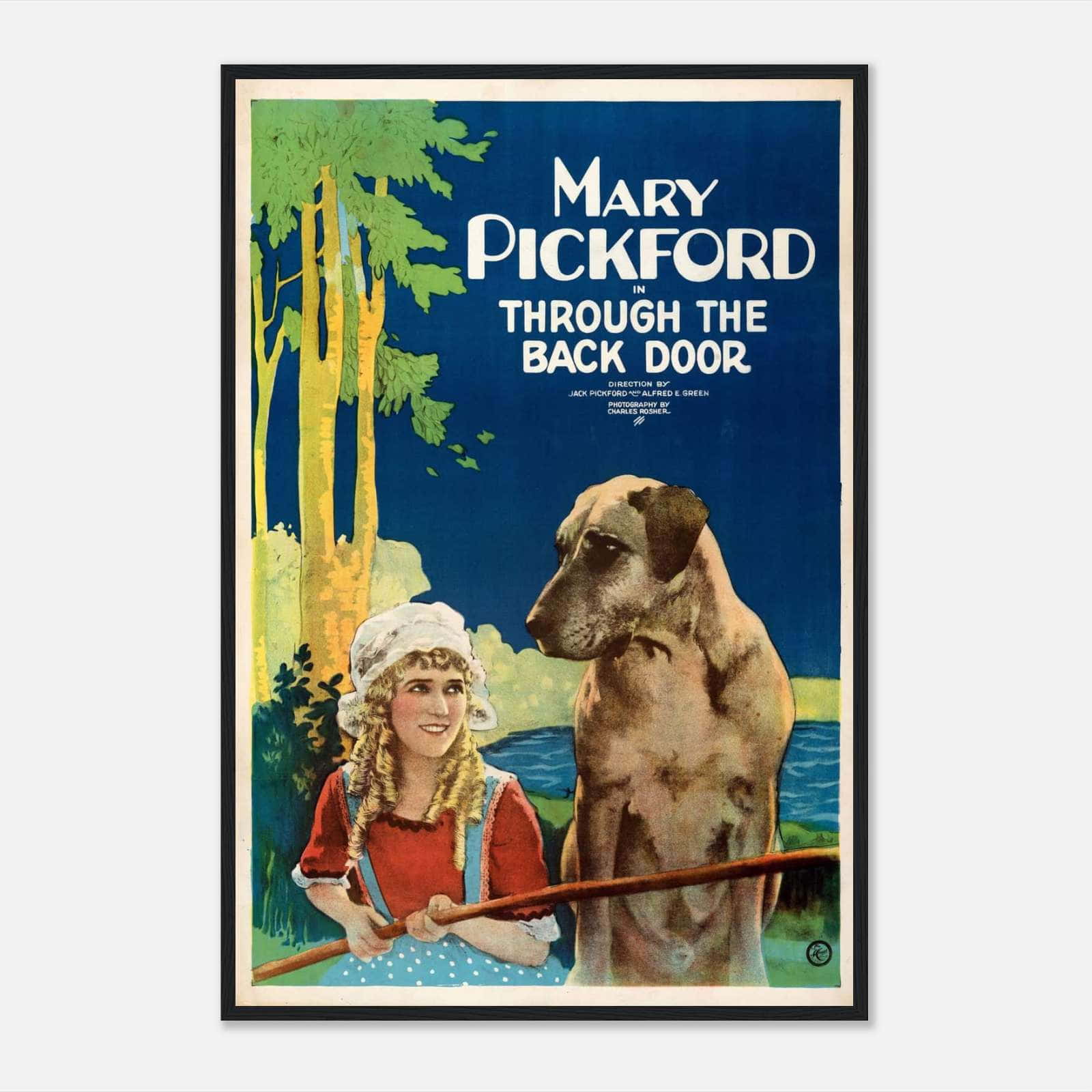Through The Back Door (1921) Movie Poster Print - Citiesbox