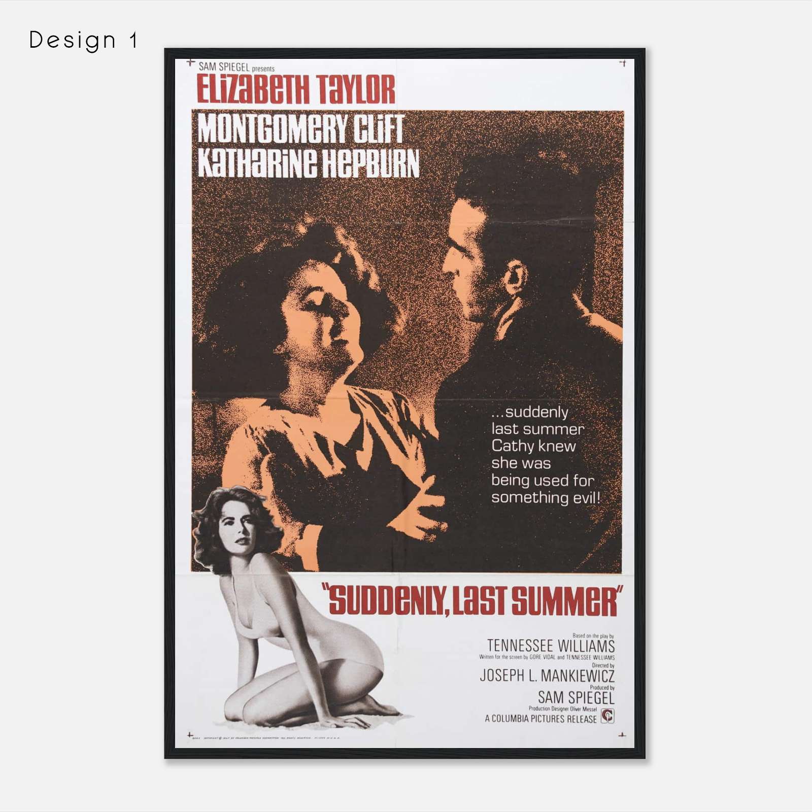 Suddenly, Last Summer (1959) Movie Poster Print - Citiesbox